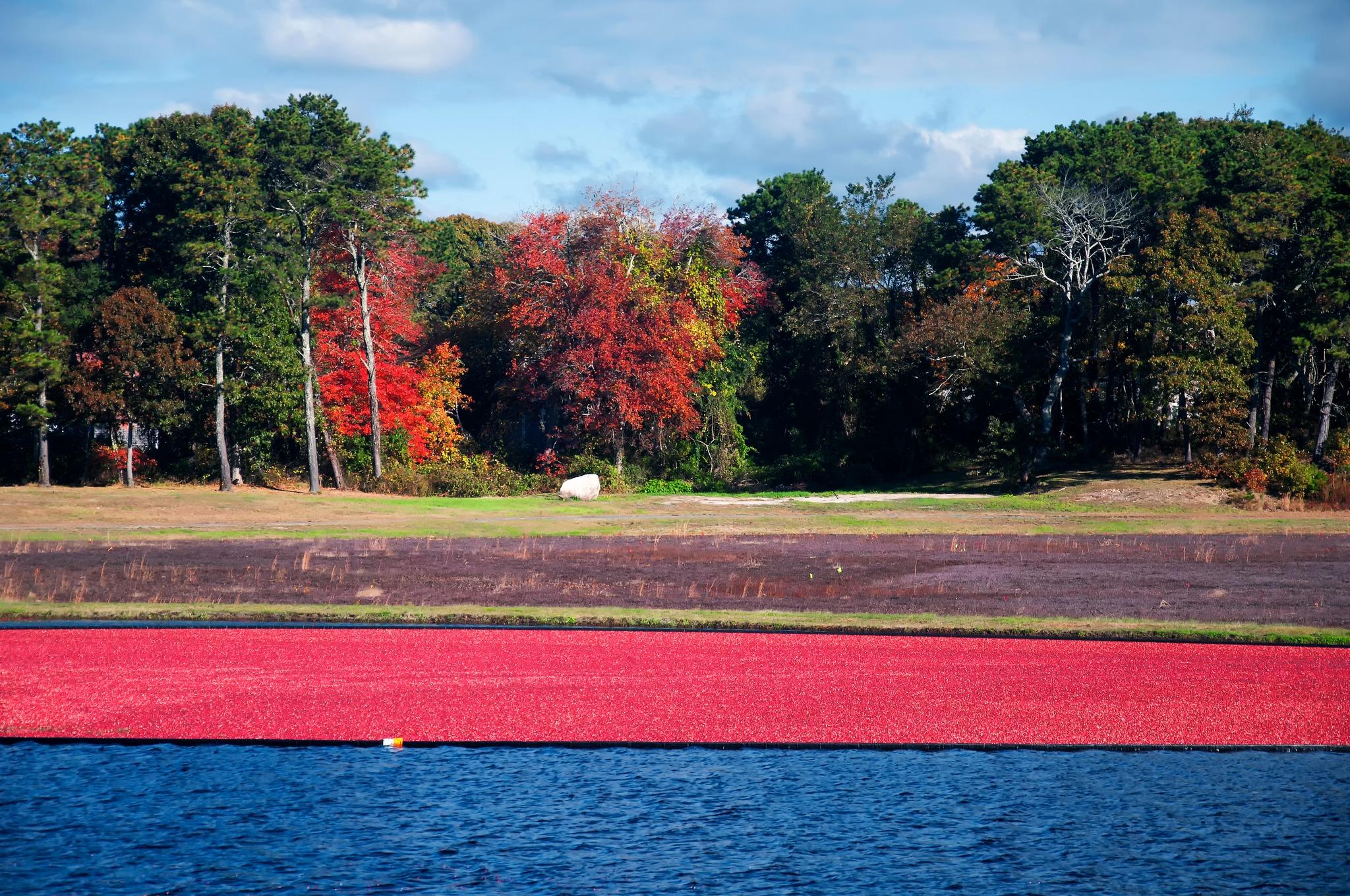 Top 10 Things to Do When Visiting Cape Cod in the Fall